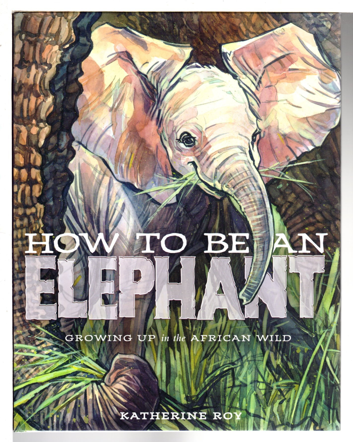 HOW TO BE AN ELEPHANT: Growing Up in the African… | bookfever.com